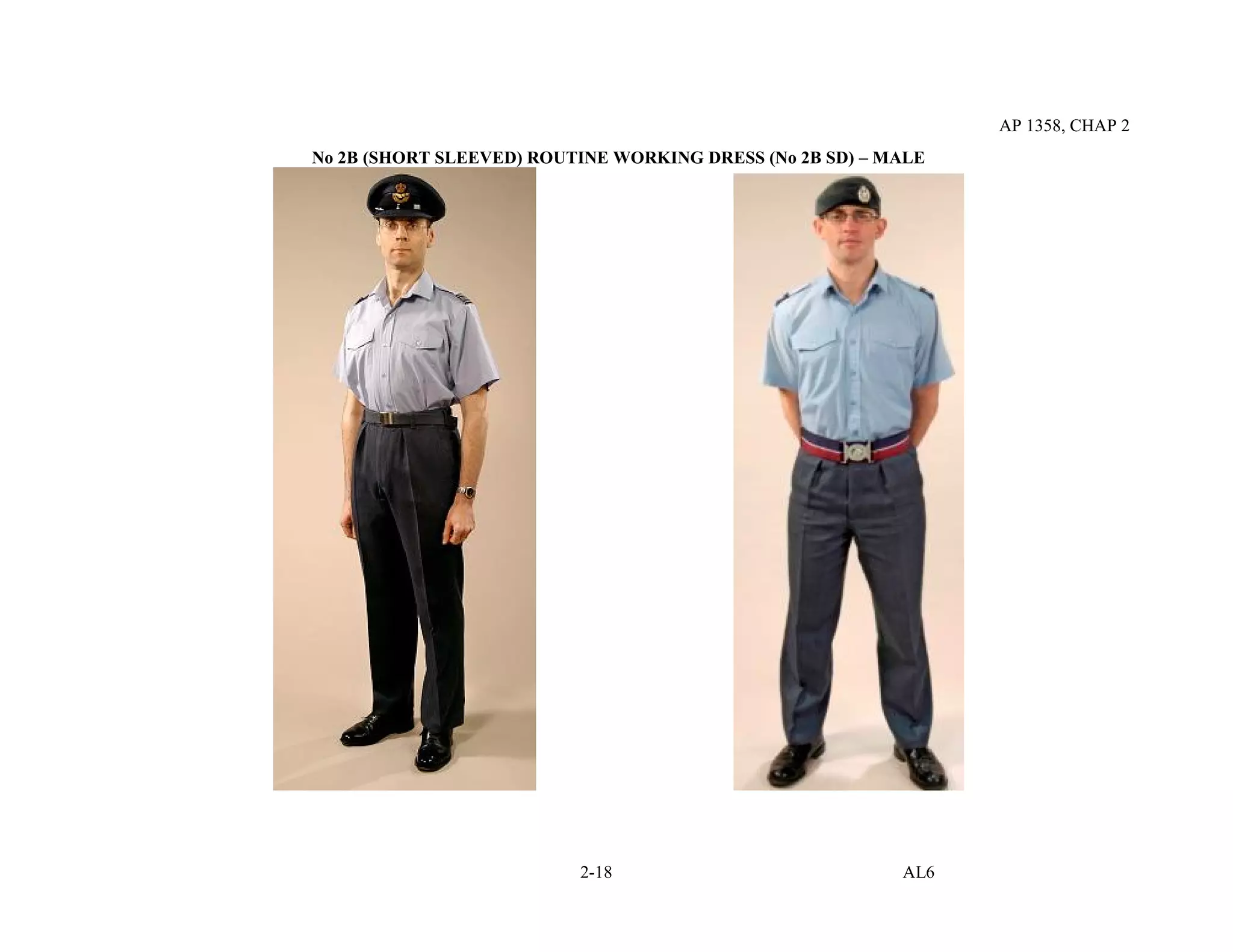 RAF Dress Regulations.pdf