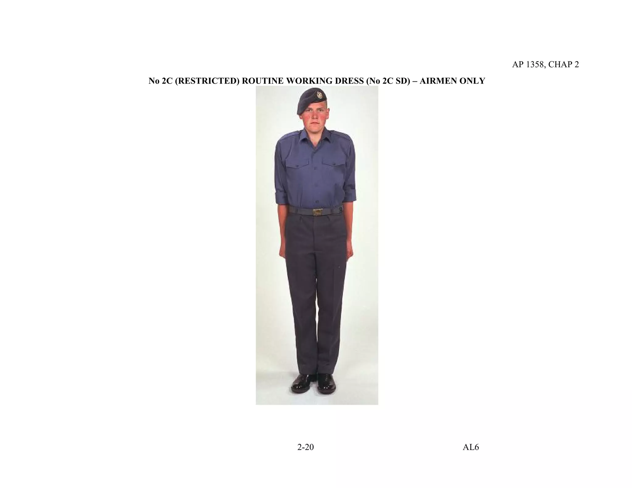 RAF Dress Regulations.pdf