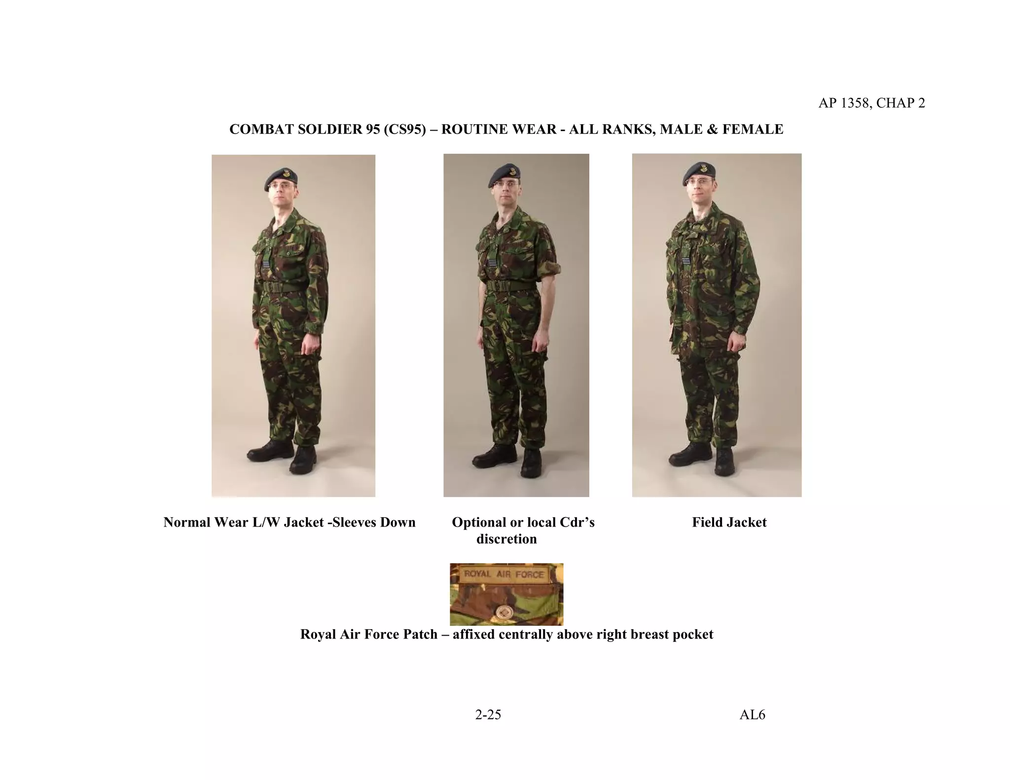 RAF Dress Regulations.pdf
