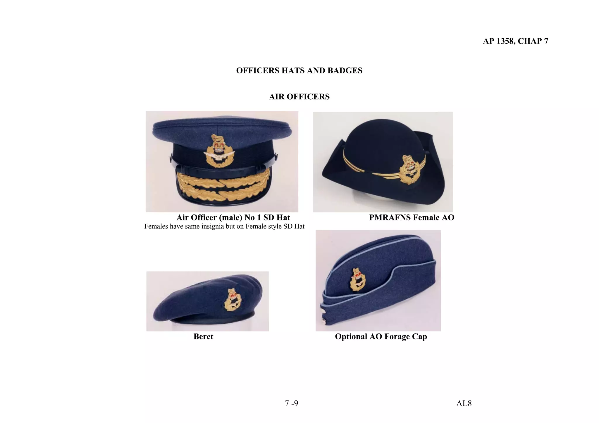 RAF Dress Regulations.pdf