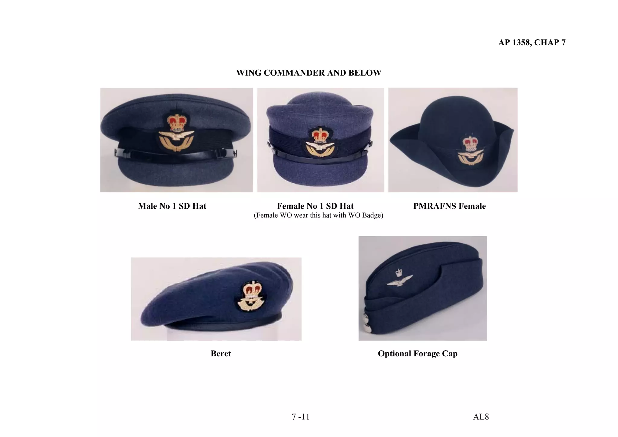 RAF Dress Regulations.pdf