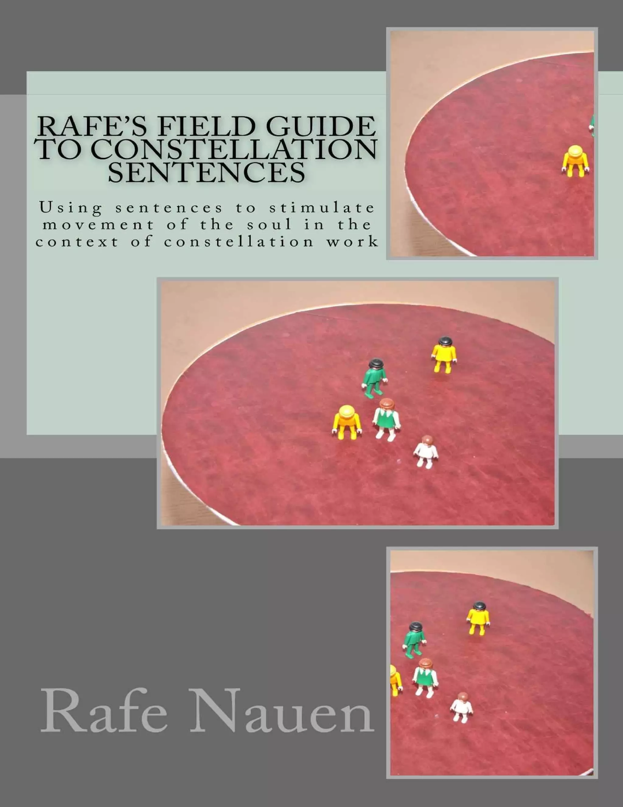 Rafe Nauen - Rafe's Field Guide to Constellation Sentences (Family ...