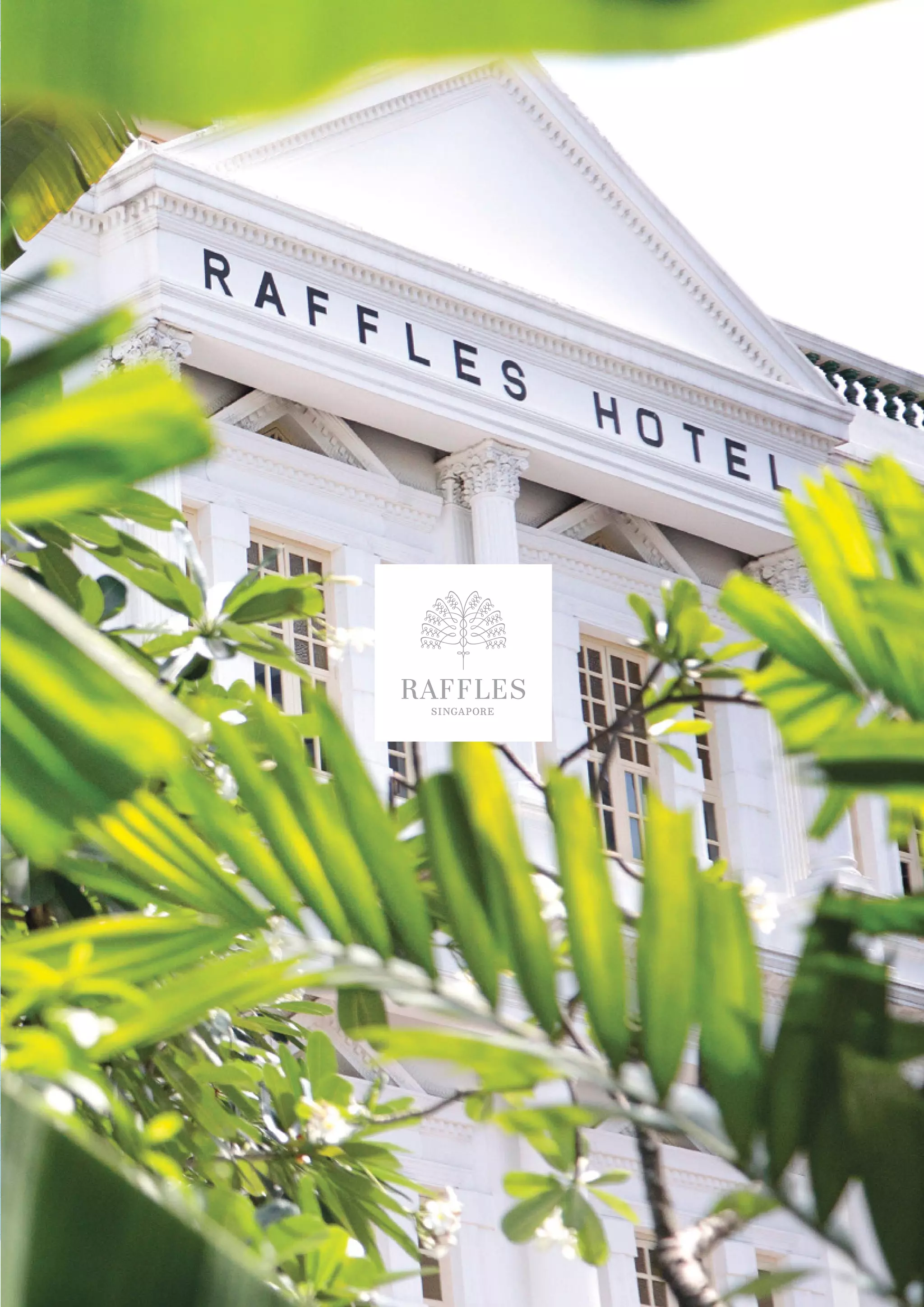 Raffles Singapore - 2019 | PDF