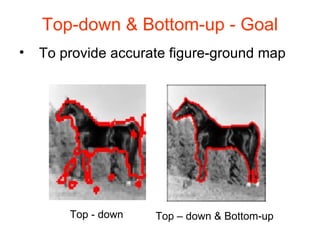 Rafi Zachut's slides on class specific segmentation | PPT