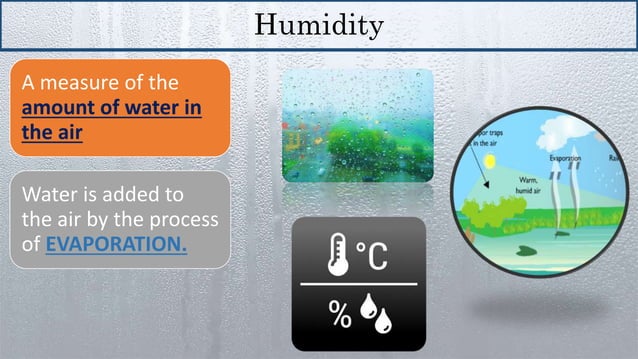 Humidity | PPTX | Weather | Science