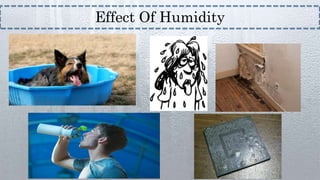 Humidity | PPTX