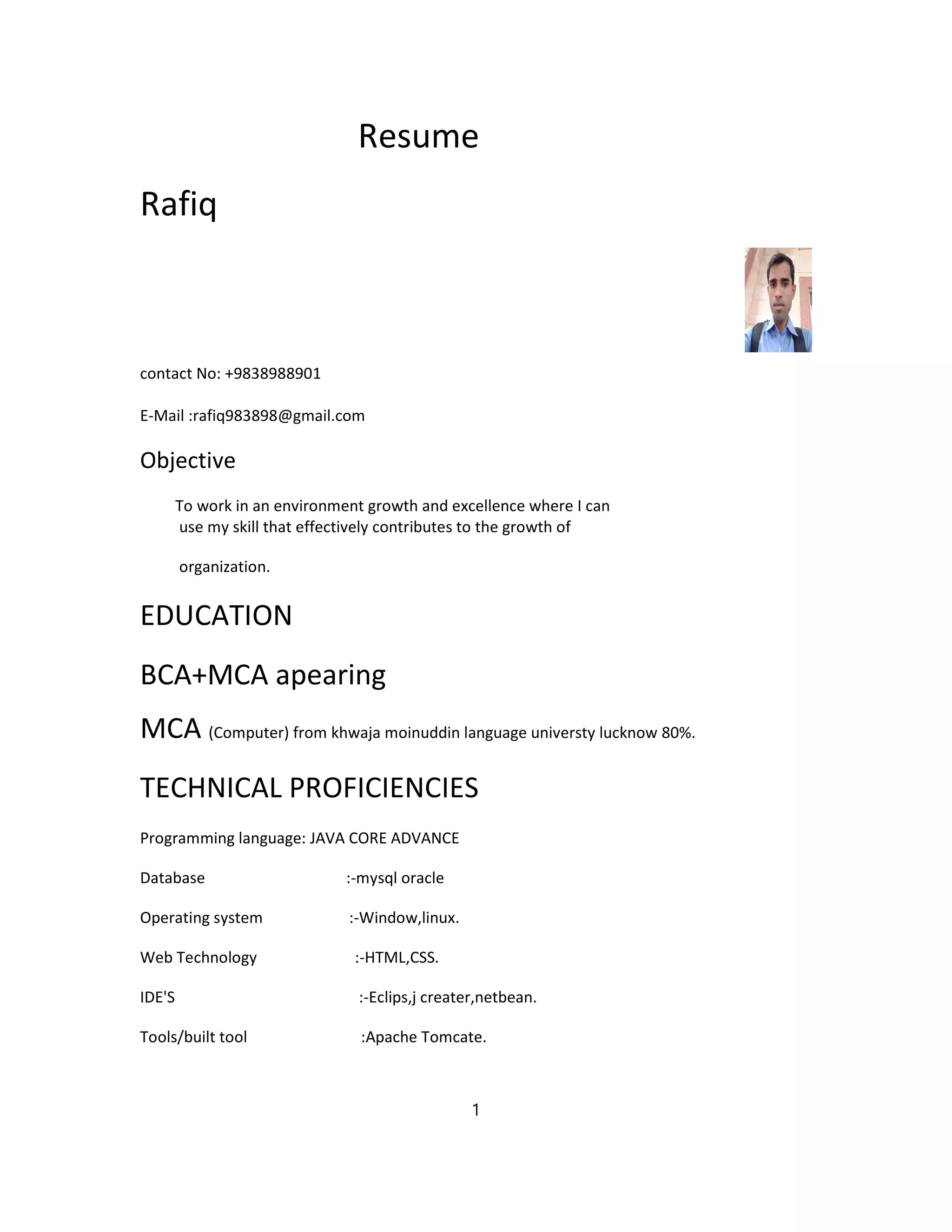 Rafiq resume m | PDF | Technology & Computing