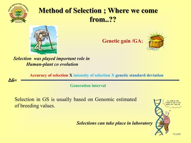 Whole Genome Selection | PPTX | Genetics | Science