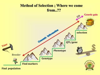 Whole Genome Selection | PPTX
