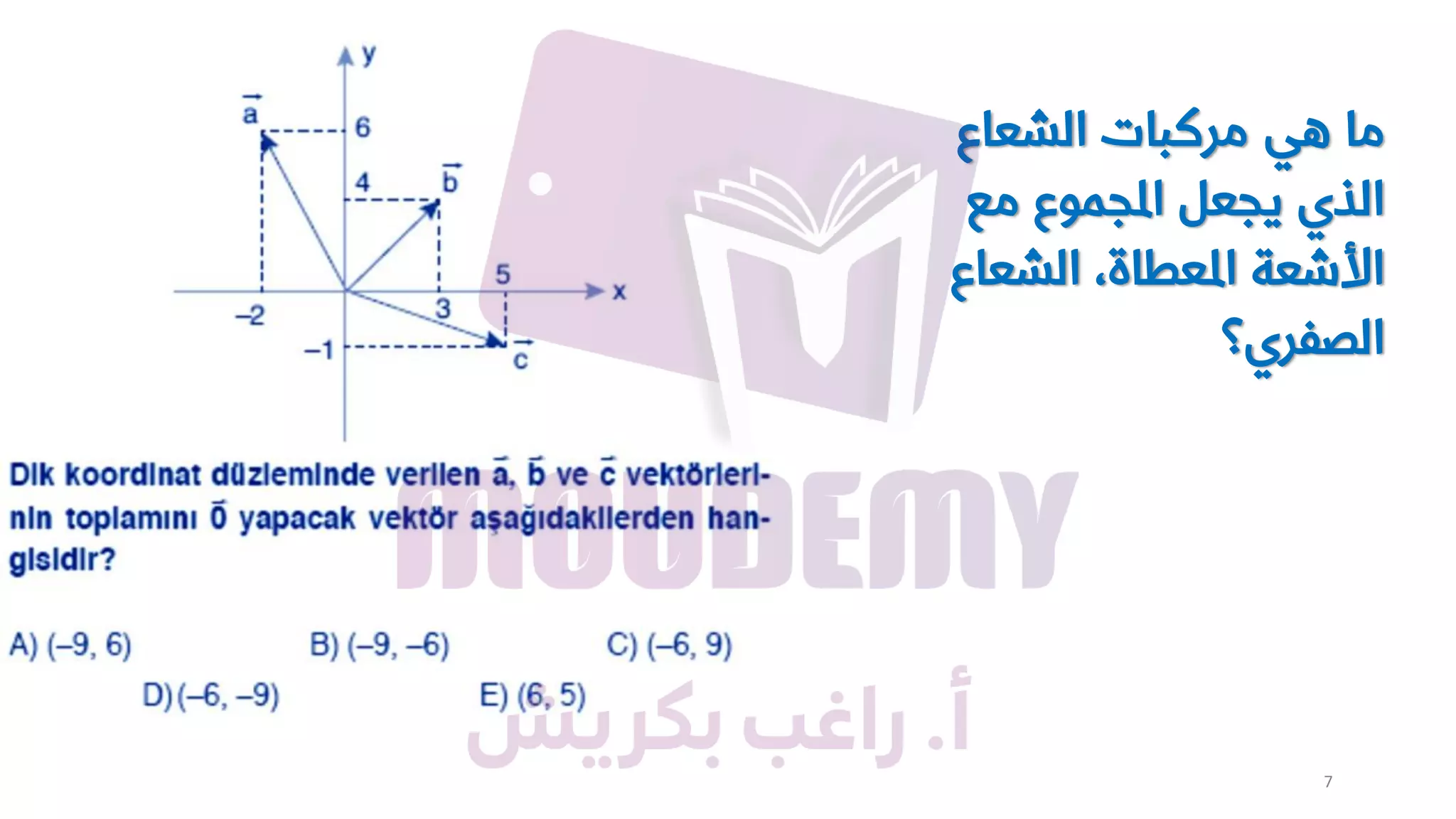 Ragheb worksheet-37-vectors | PDF