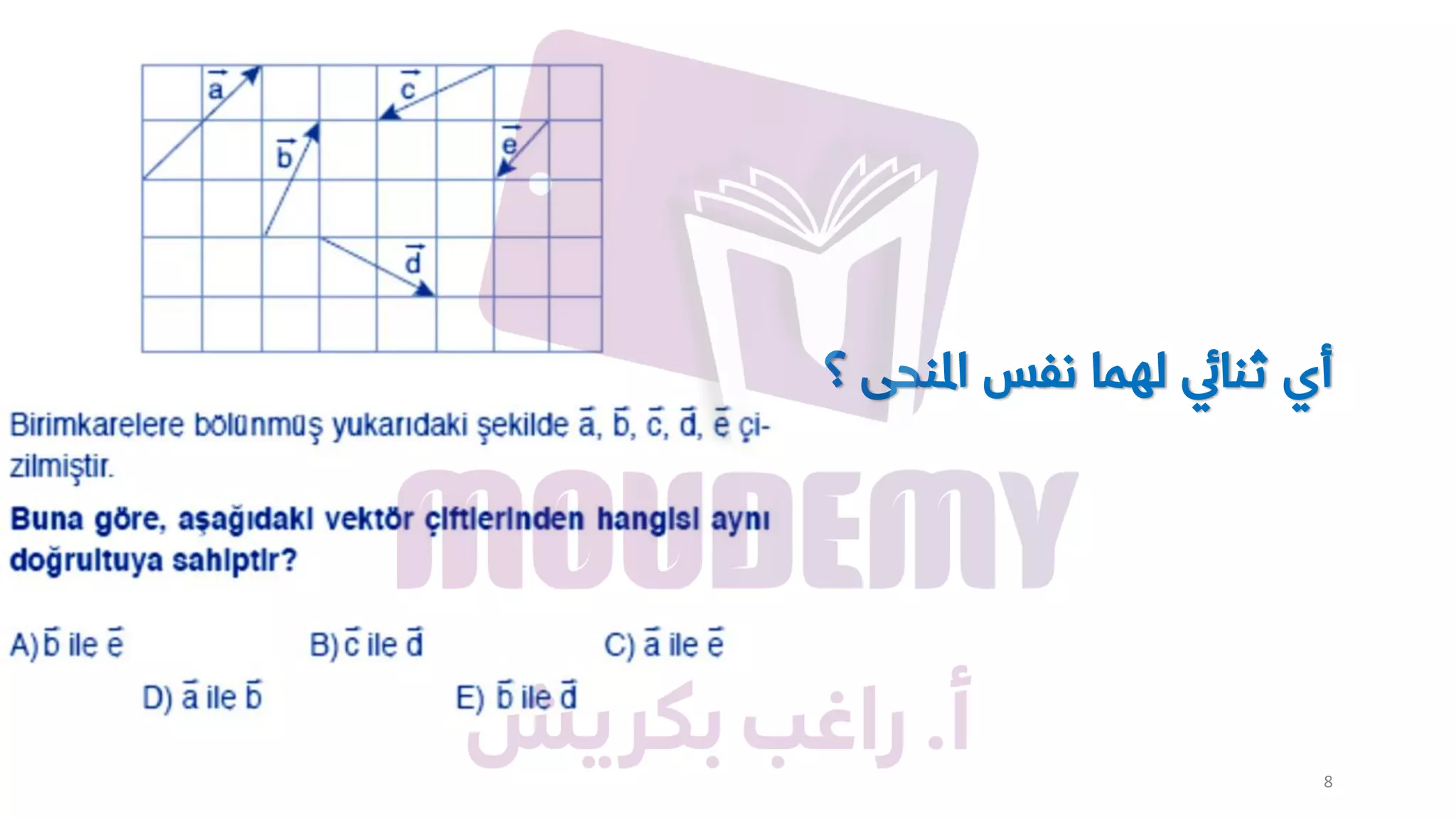 Ragheb worksheet-37-vectors | PDF