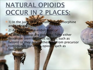 OPIOID ANALGESICS | PPT | Free download