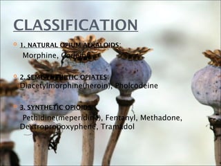 OPIOID ANALGESICS | PPT | Free Download