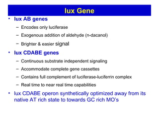 Raghu H V & kumar N. | PPT