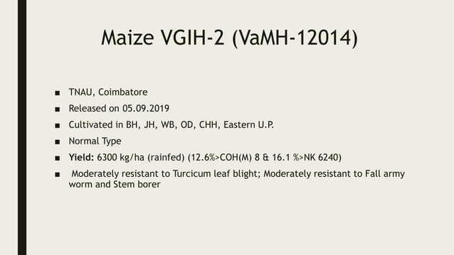 Improved varieties/hybrids and season in maize cultivation | PPTX ...