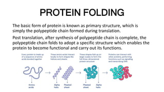 RAGINI_Biochemistry_Protein synthesis.pptx