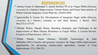 Production of transgenic plants in ragi | PPTX