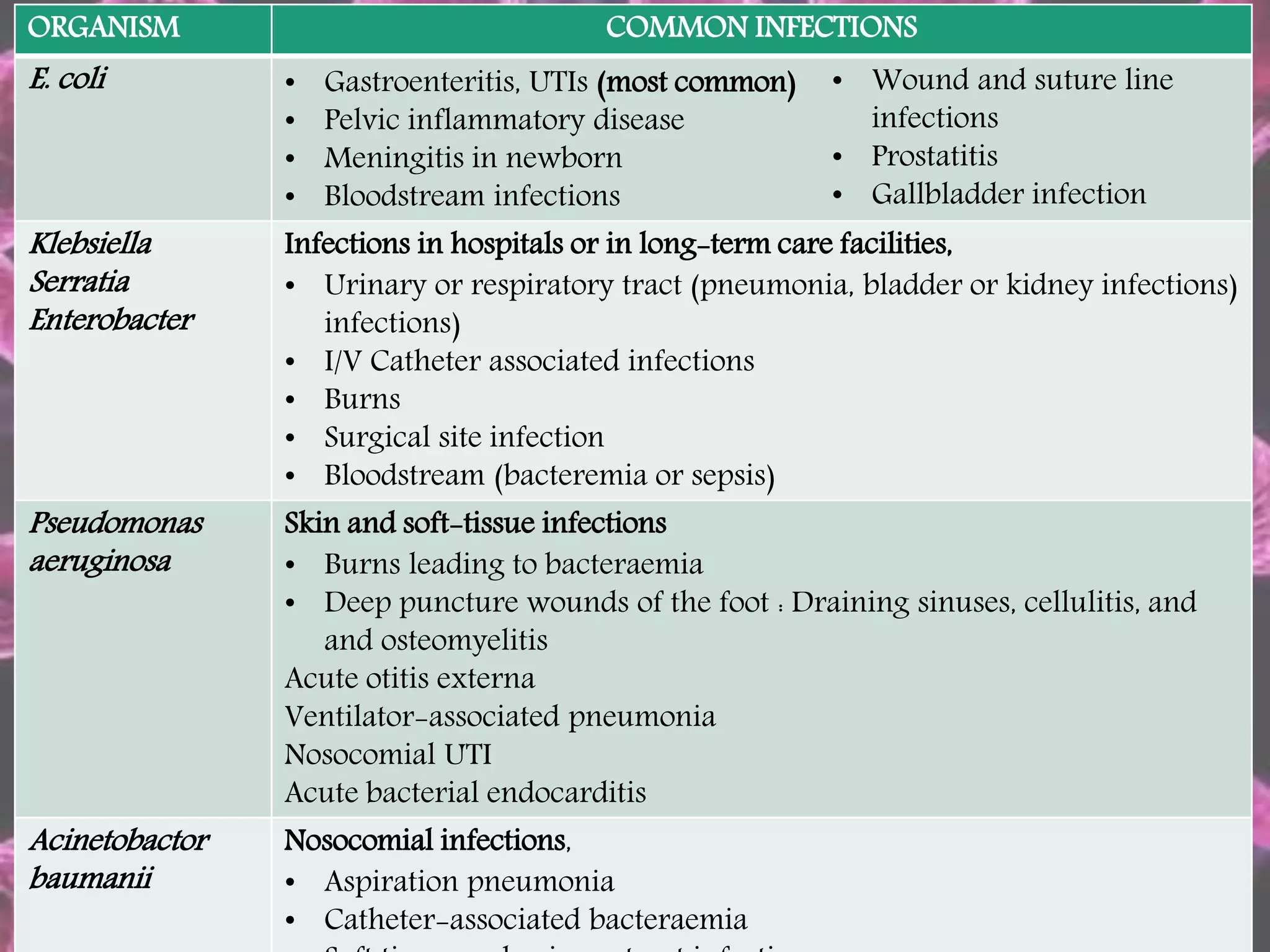 Recent Advances in Management of Gram Negative Bacteria | PPTX