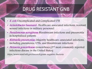 Recent Advances in Management of Gram Negative Bacteria | PPTX