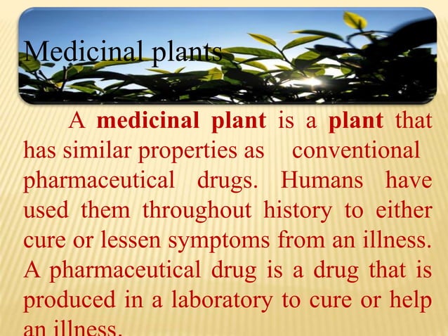 medicinal plants | PPTX