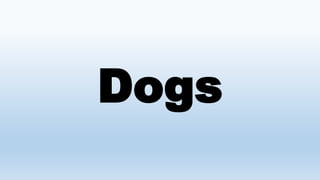 BCG Matrix of Tata Group | PPTX