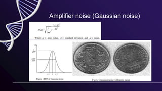 Noise Models Ultrasound | PPT