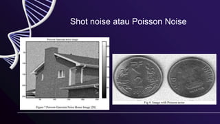 Noise Models Ultrasound | PPT