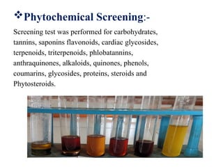 extraction and isolation of flavonoids.pptx