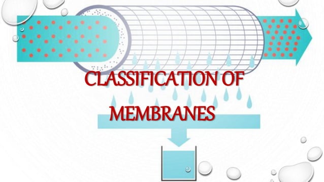 MEMBRANE TECHNOLOGY IN DAIRY INDUSTRY | PPTX | Chemistry | Science