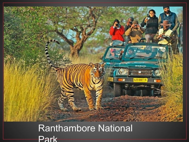 Rahi - rajastan PPT-1.pptxdhdjdjdjdjfjjfjfj | PPT