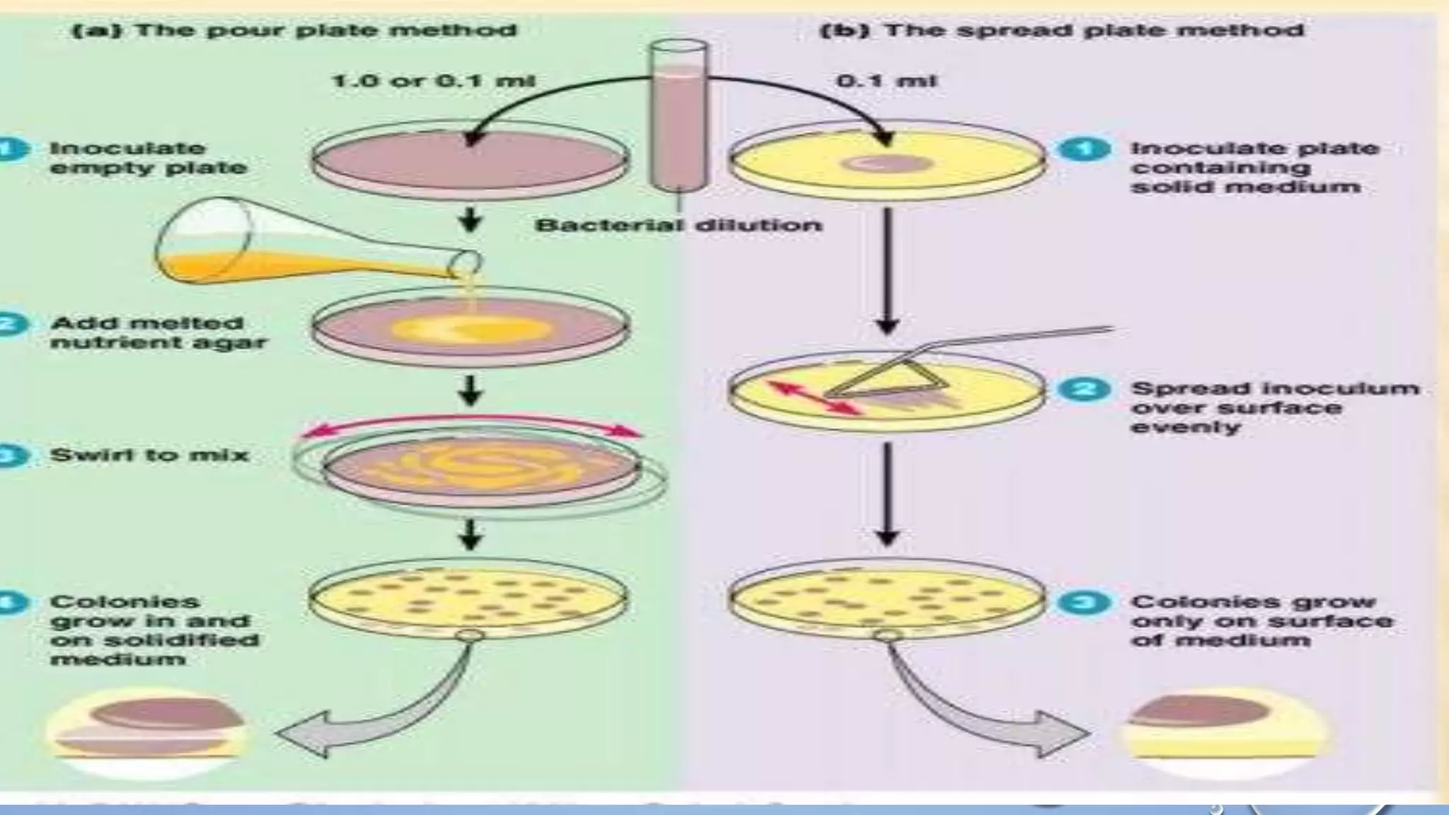 MICROBIOLOGICAL TESTS (CONVENTIONAL METHODS ) | PPTX