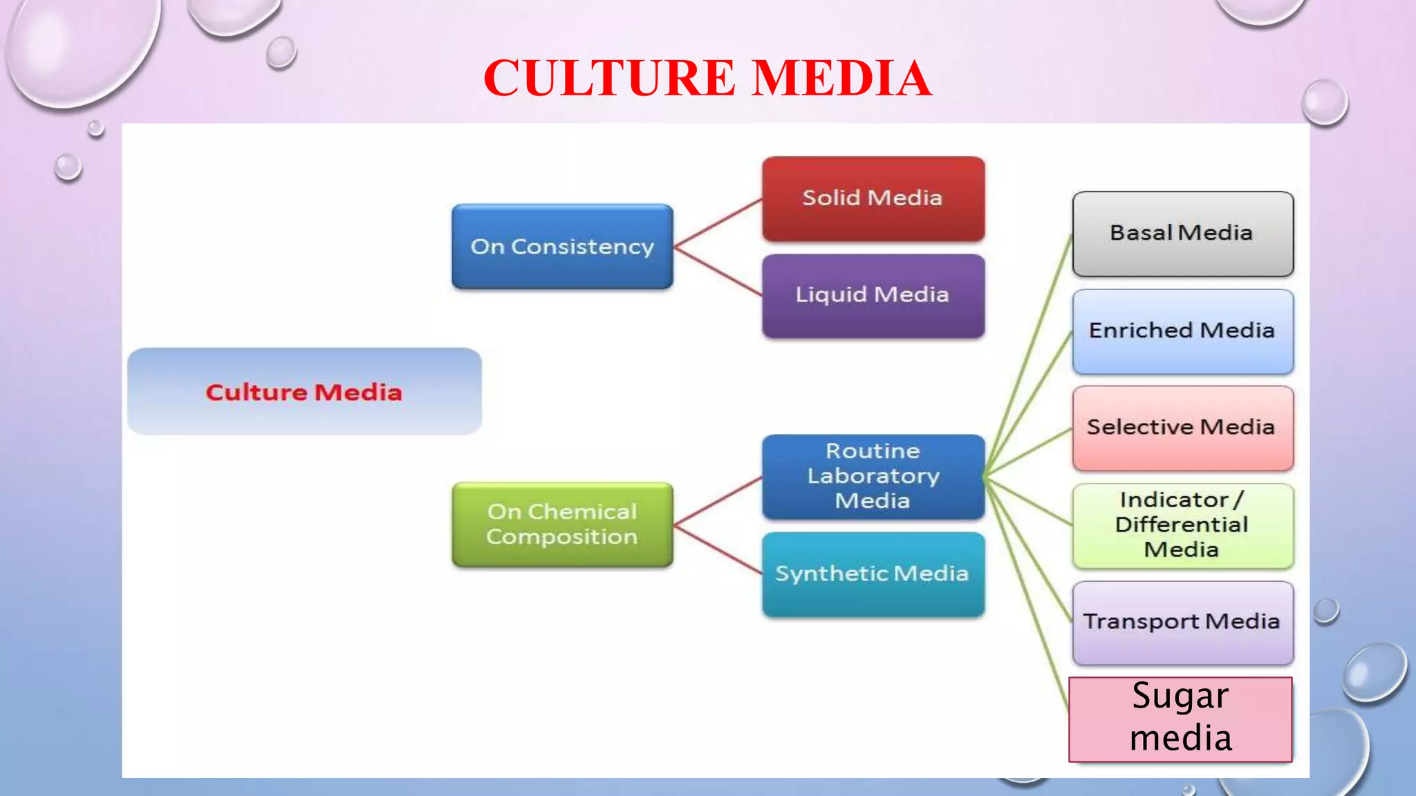 MICROBIOLOGICAL TESTS (CONVENTIONAL METHODS ) | PPTX