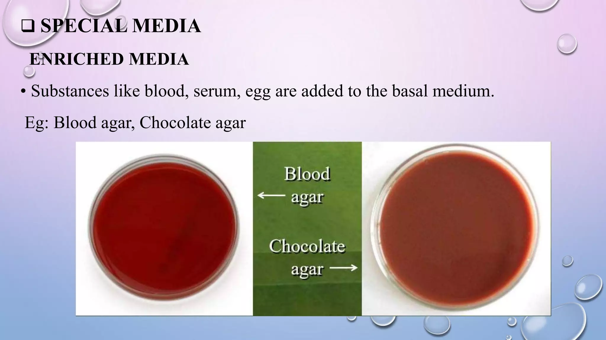MICROBIOLOGICAL TESTS (CONVENTIONAL METHODS ) | PPTX