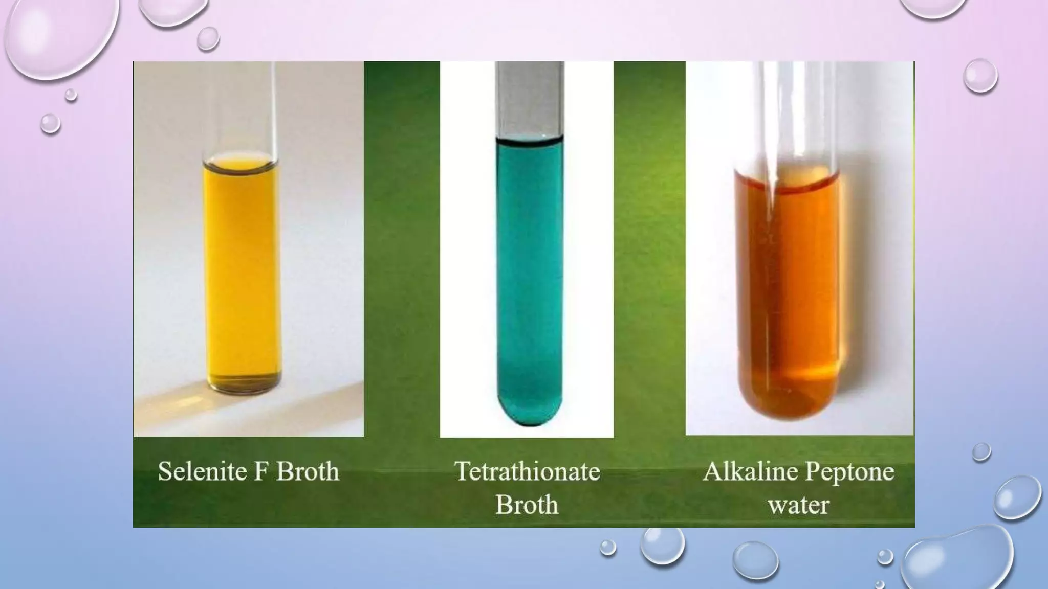 MICROBIOLOGICAL TESTS (CONVENTIONAL METHODS ) | PPTX