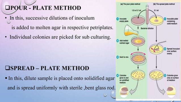 MICROBIOLOGICAL TESTS (CONVENTIONAL METHODS )