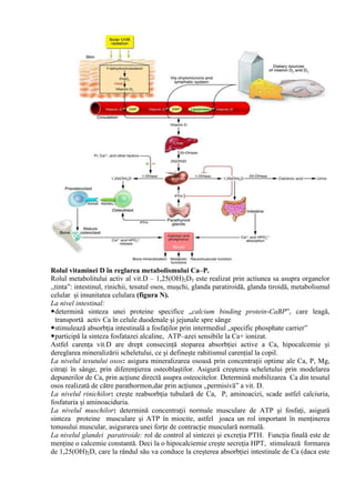 Rahitism carențial | PDF