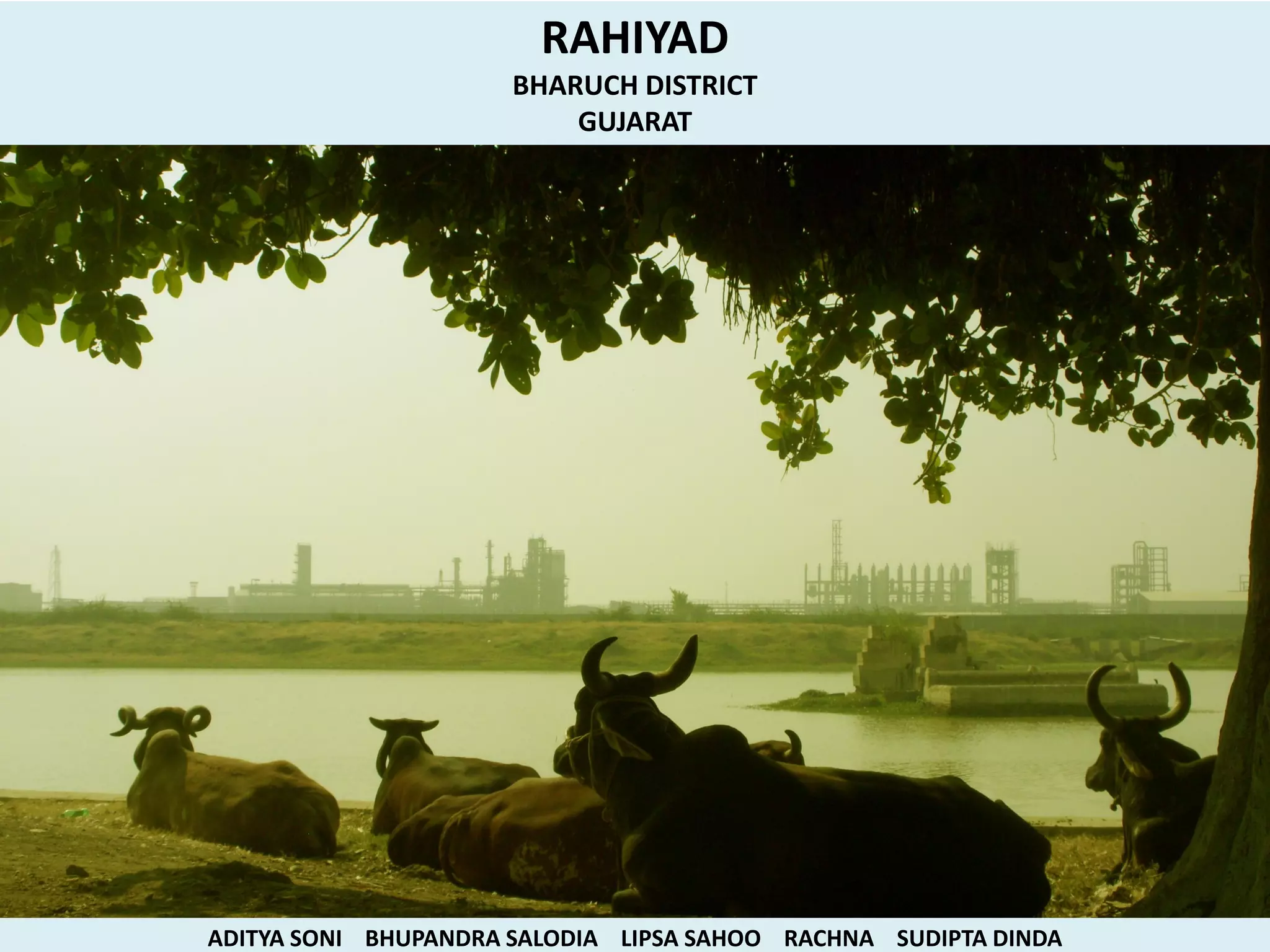 Rahiyad rural planning lab 12-12-12 | PPT | Free Download
