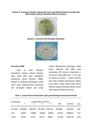 Rahmadiyah azaria rahmah (0910710107) | PDF