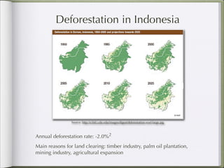 Rahmalia-Deforestation Indonesia | PDF