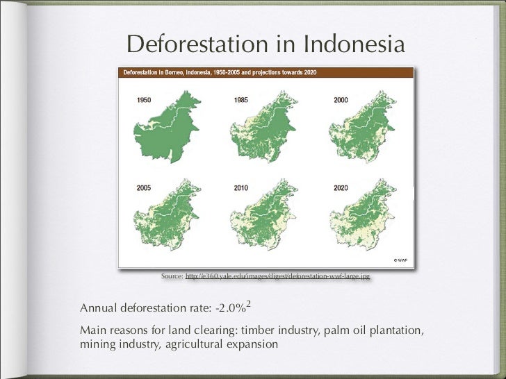 Rahmalia-Deforestation Indonesia