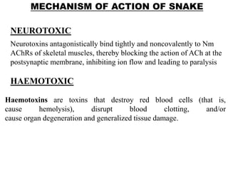 snake bite and management | PPTX