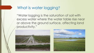 Water logging : causes, effects and it's solution | PPTX