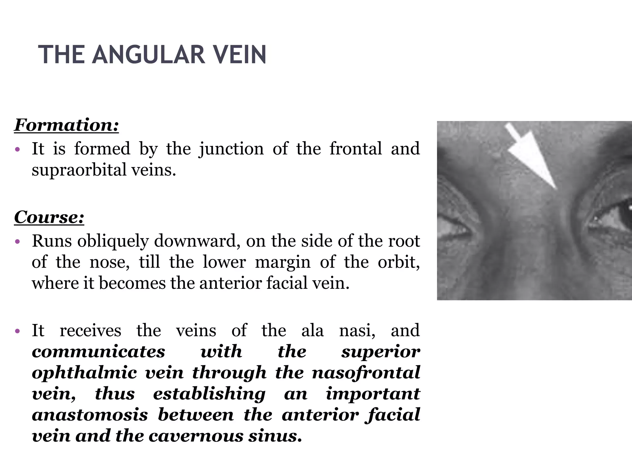 Surgical anatomy of Veins of Head and Neck | PPTX