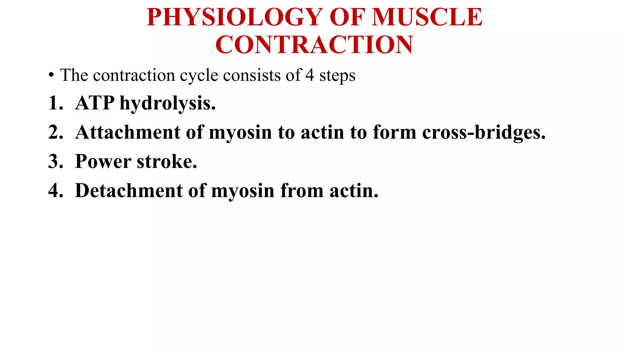skeletal muscle | PDF
