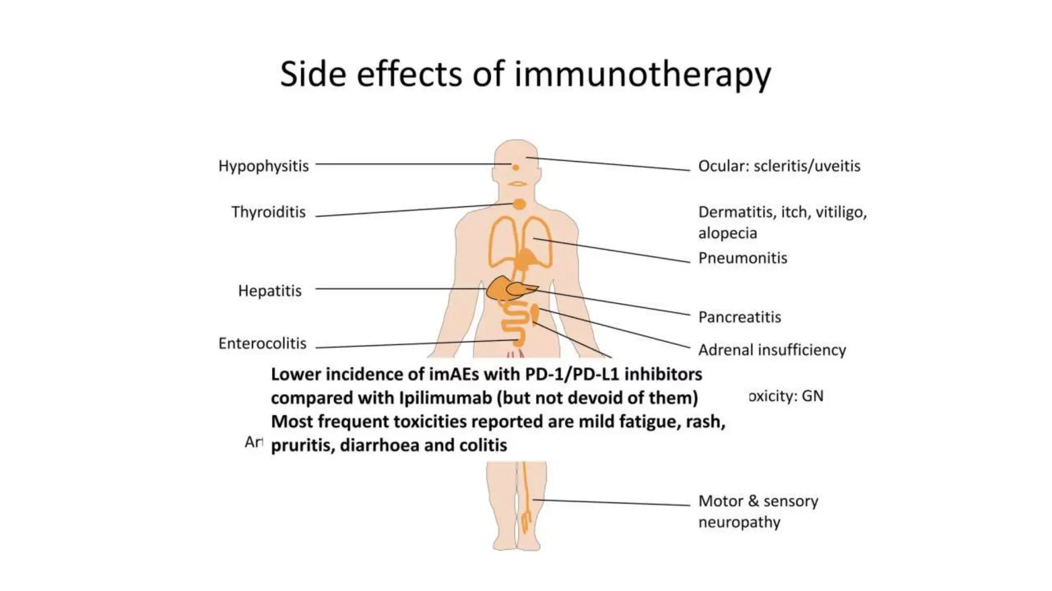 Rahul arote 1st_sem_presetion (1) (1).pptx