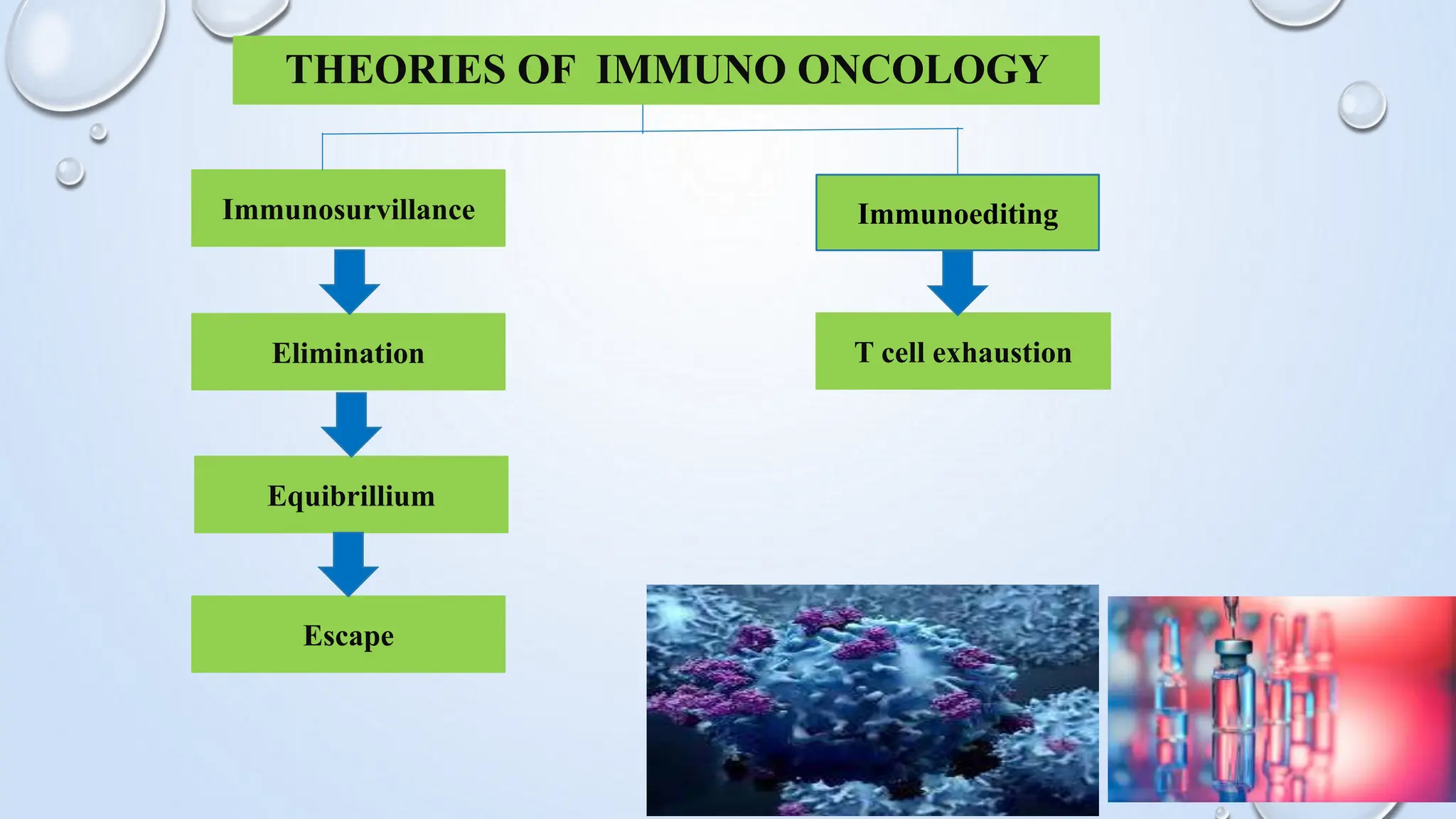 Rahul arote 1st_sem_presetion (1) (1).pptx