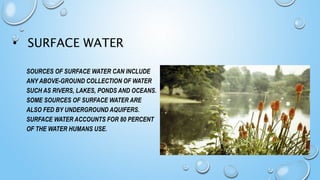 water management project.pptx