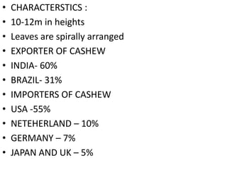Rahul cashew nut processing | PPTX