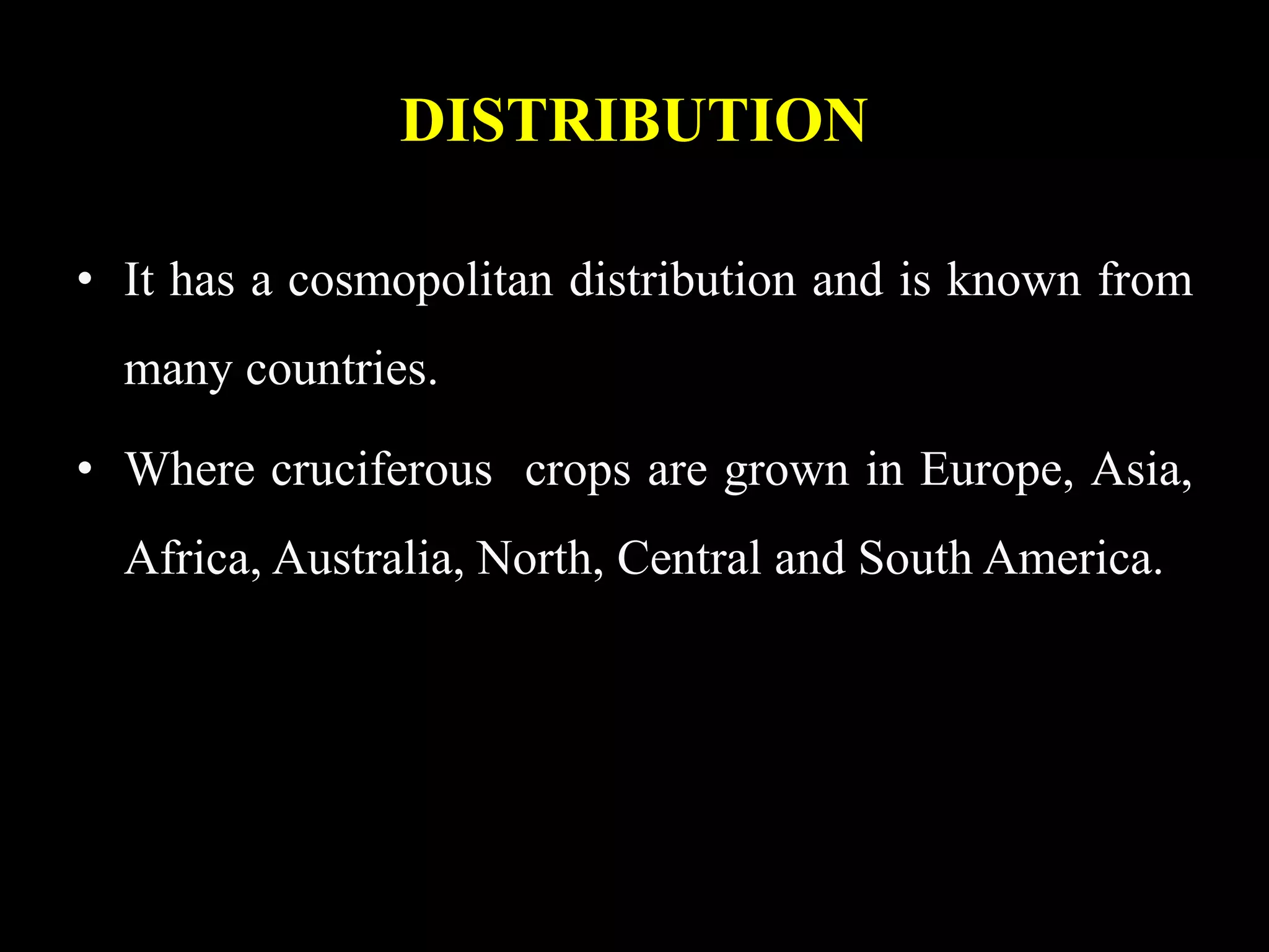 Black leg of Cabbage | PPTX