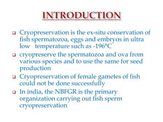 cryopreservation of fish gametes NBFGR gene bank | PPTX